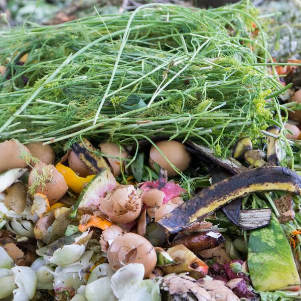 Que mettre dans un composteur pour un compostage réussi ? - monecogeste.fr