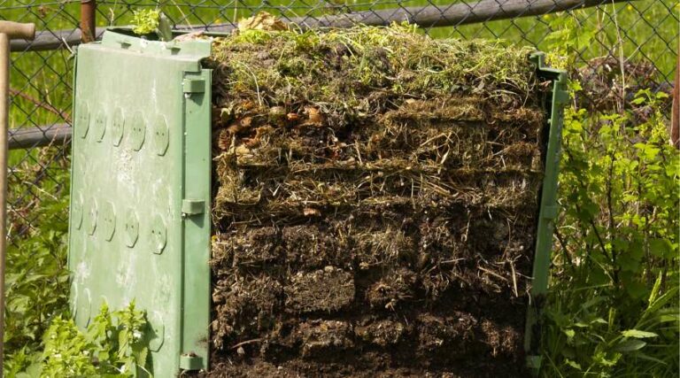 Comment faire du compost chez soi ? Nos explications et conseils ...