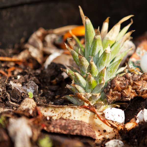 Fabriquer un Composteur Maison : Découvrez notre atelier ! - monecogeste.fr